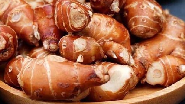 Selain Untuk Bumbu Seblak Kencur Ternyata Mempunyai Banyak Manfaat ...